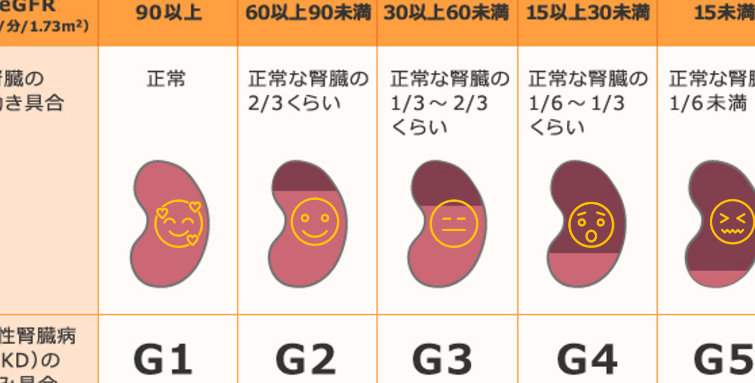 Egfr値の正常値はいくつですか？基準と解説